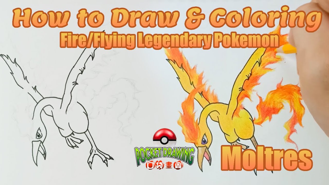 How to Draw & Coloring Moltres | Pokémon - YouTube
