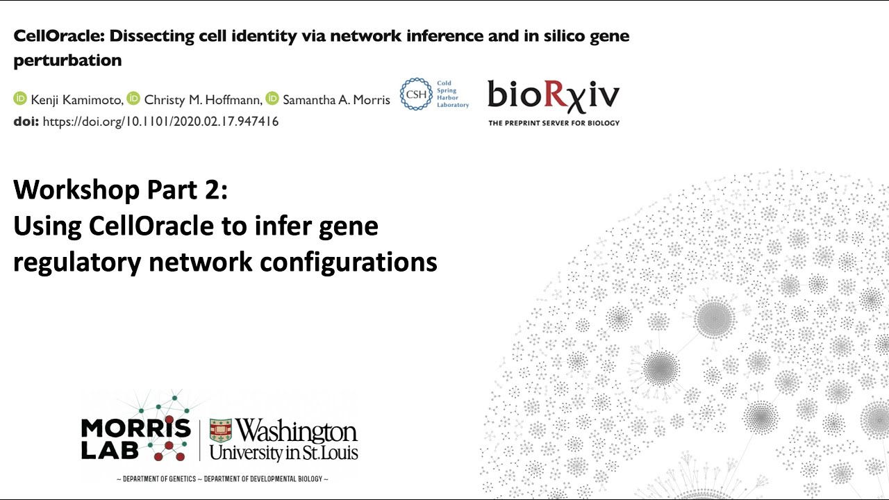 CellOracle Workshop Part 2 - YouTube