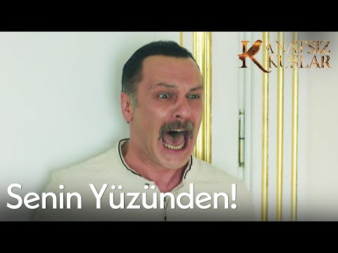 Muzaffer sinir krizi geçirdi! - Kanatsız Kuşlar🕊🕊