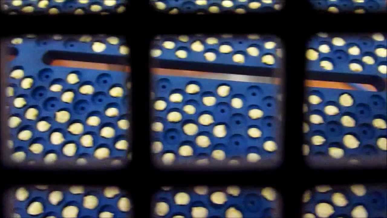 Seed Sorter Chlorophyll - YouTube