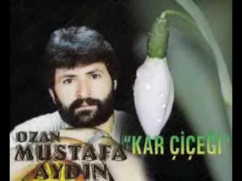 Aşık Mustafa Aydın   Kar çiçeği