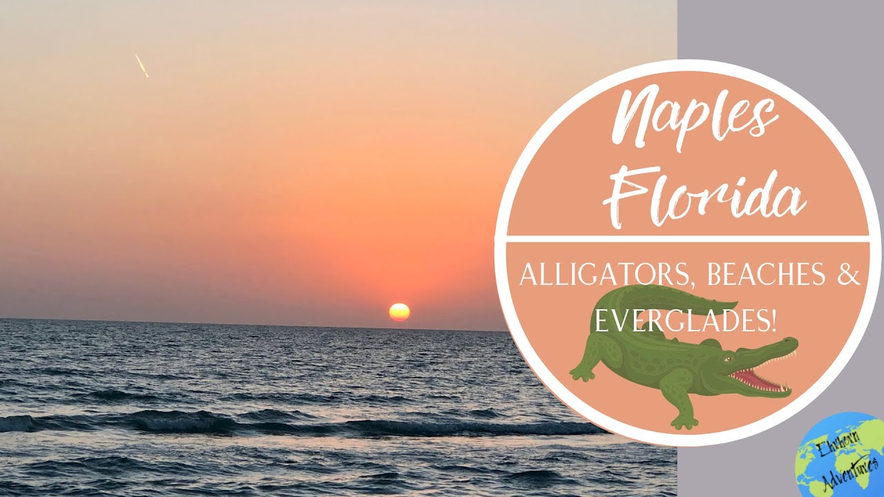 Naples, Florida - Alligators, Beaches, & Everglades! - YouTube