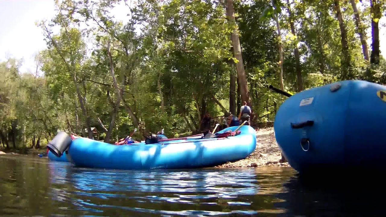 Strange creatures in the French Broad River. - YouTube