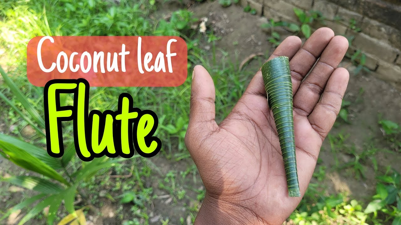 How to Make a Flute With the Coconut Leaves #coconutleaf #flute # ...