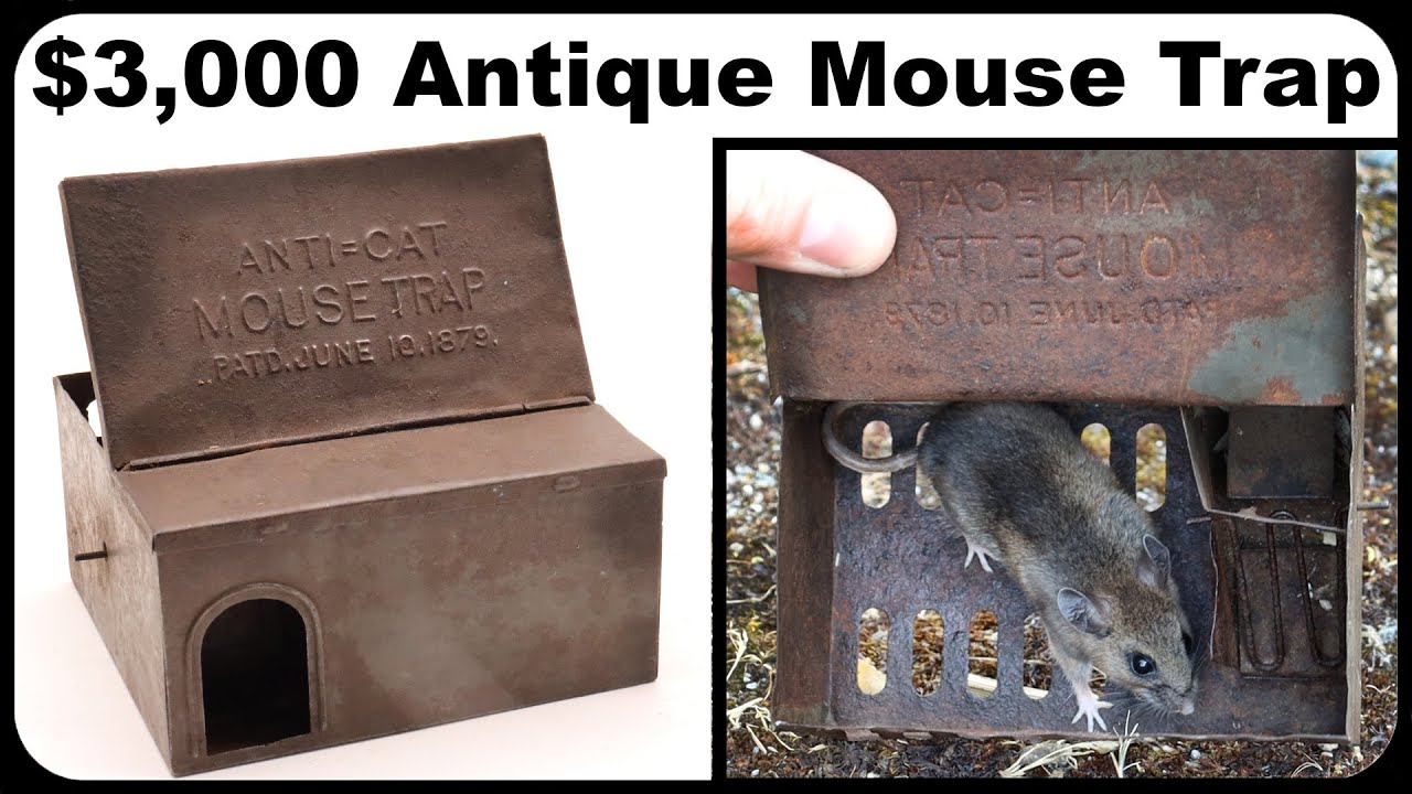 Catching Mice With A $3000 Antique Mouse Trap. The Anti-Cat From 1879 ...