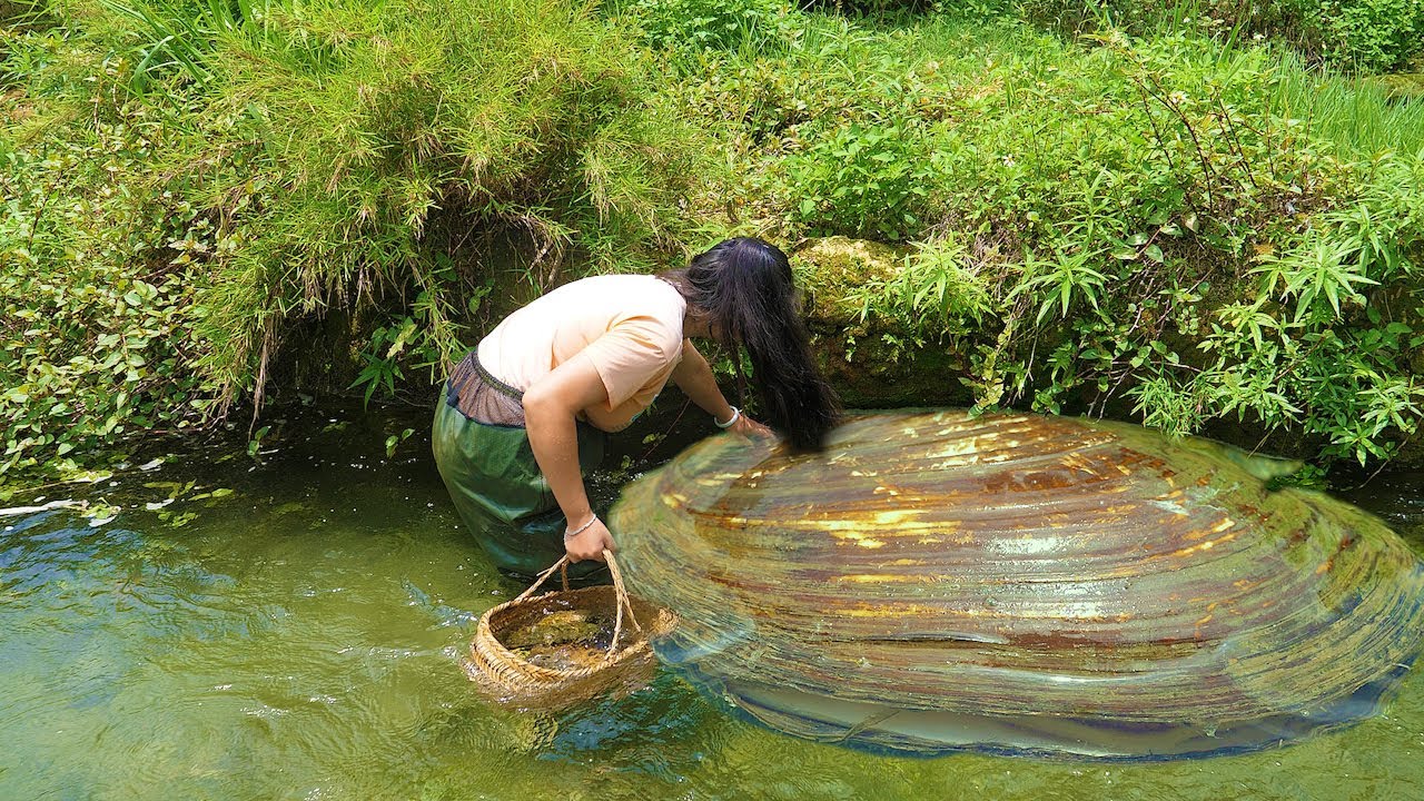 The treasures in giant clams can only be extracted manually, and many ...