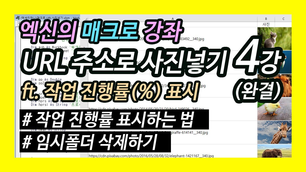 엑셀이뭐니 매크로 Url주소로 사진넣기 4강완결 작업진행률 표시하기임시폴더 삭제 이미지 삽입엑셀 Vba 기초 Youtube