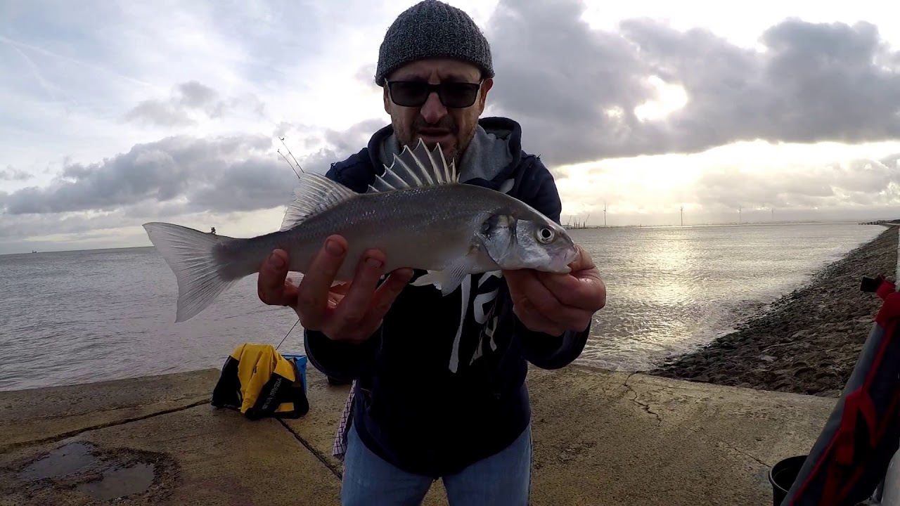 BASS WINTER FISHING STRONG WESTERLY WIND MEDWAY RIVER - YouTube