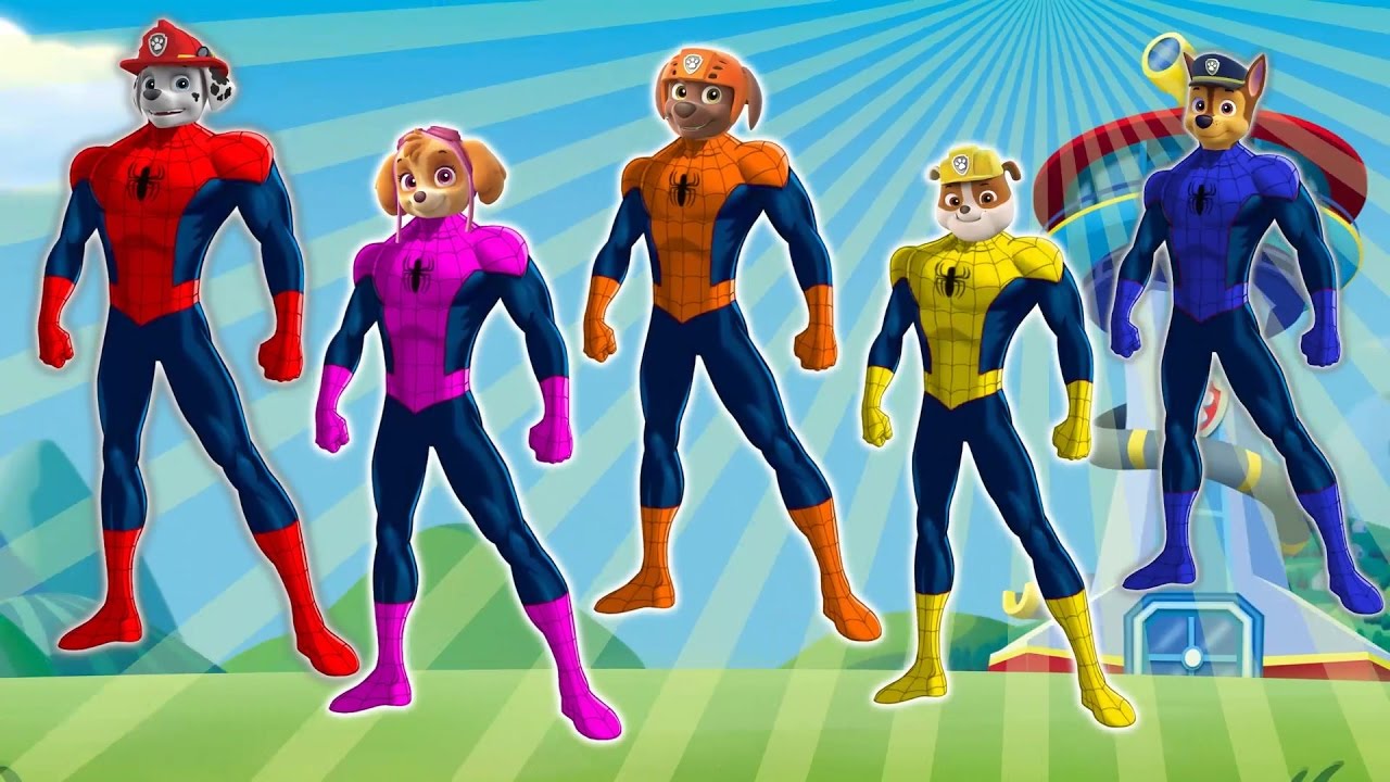 Paw Patrol Superhero Character Spiderman Finger Family Nursery Rhymes ...
