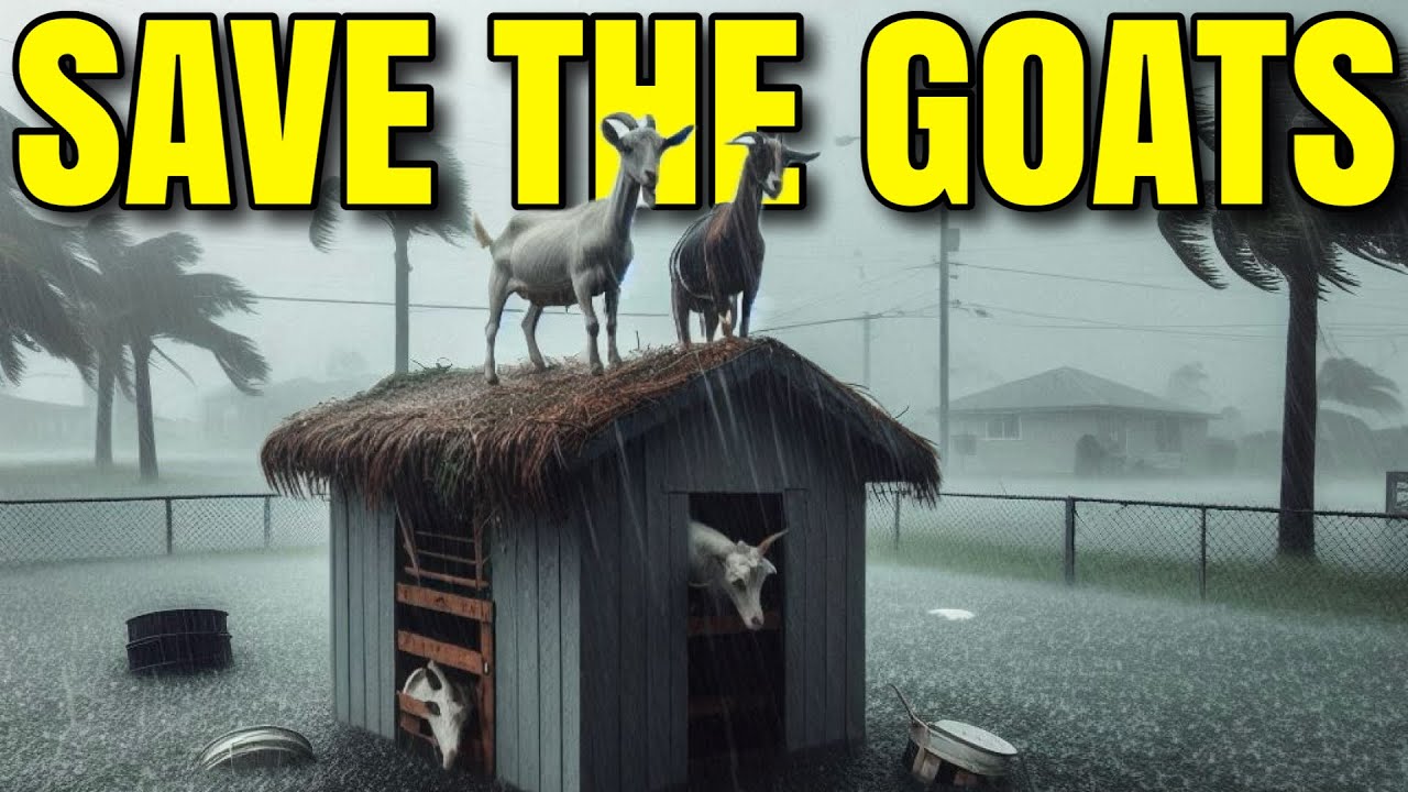 OPERATION: SAVE THE GOATS w/ Lummy & Colton - YouTube