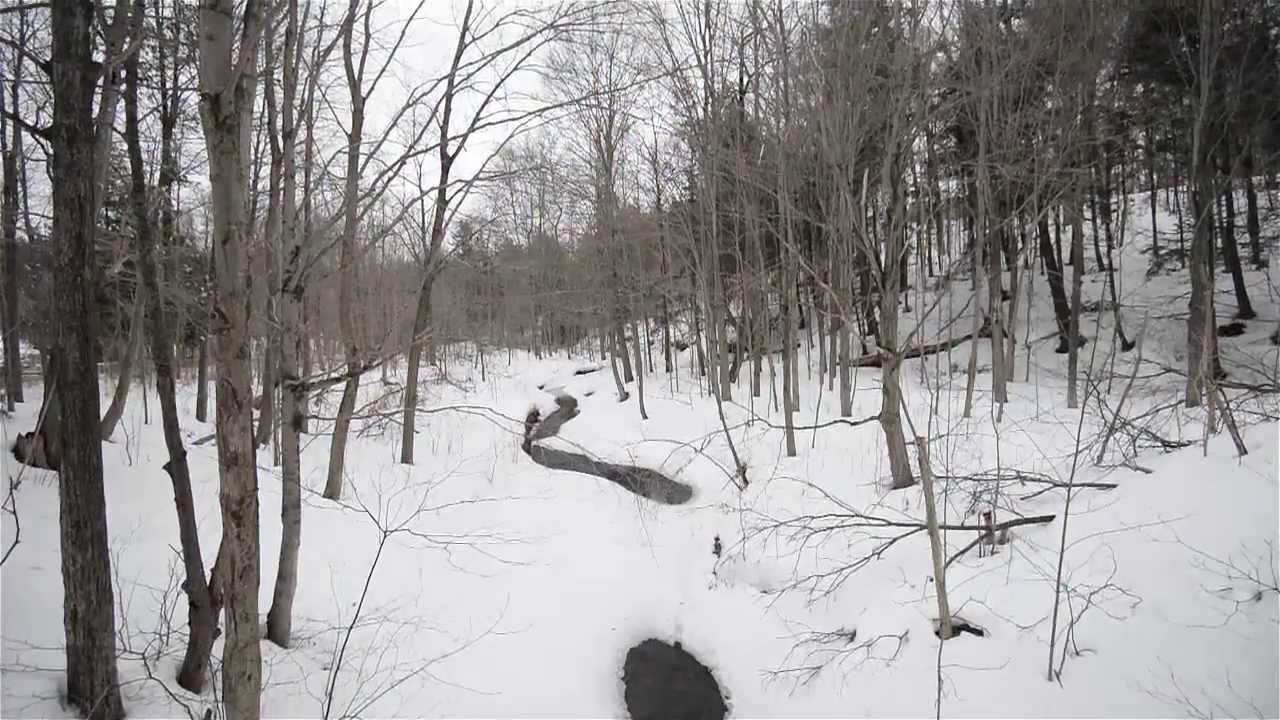 13280 7th Concession King Mike Donia - YouTube