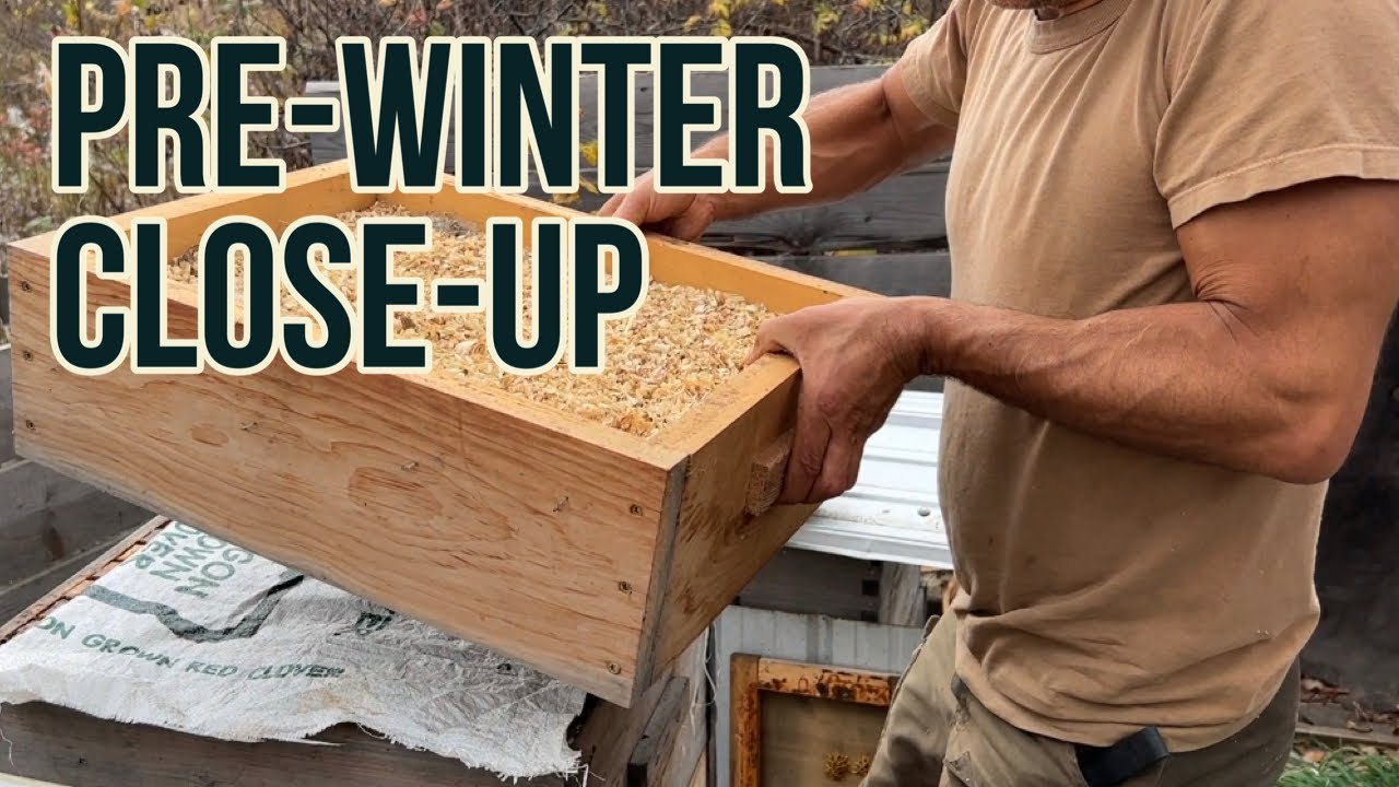 Overwintering Beehive Tasks: Warré Tops, Insulating - YouTube