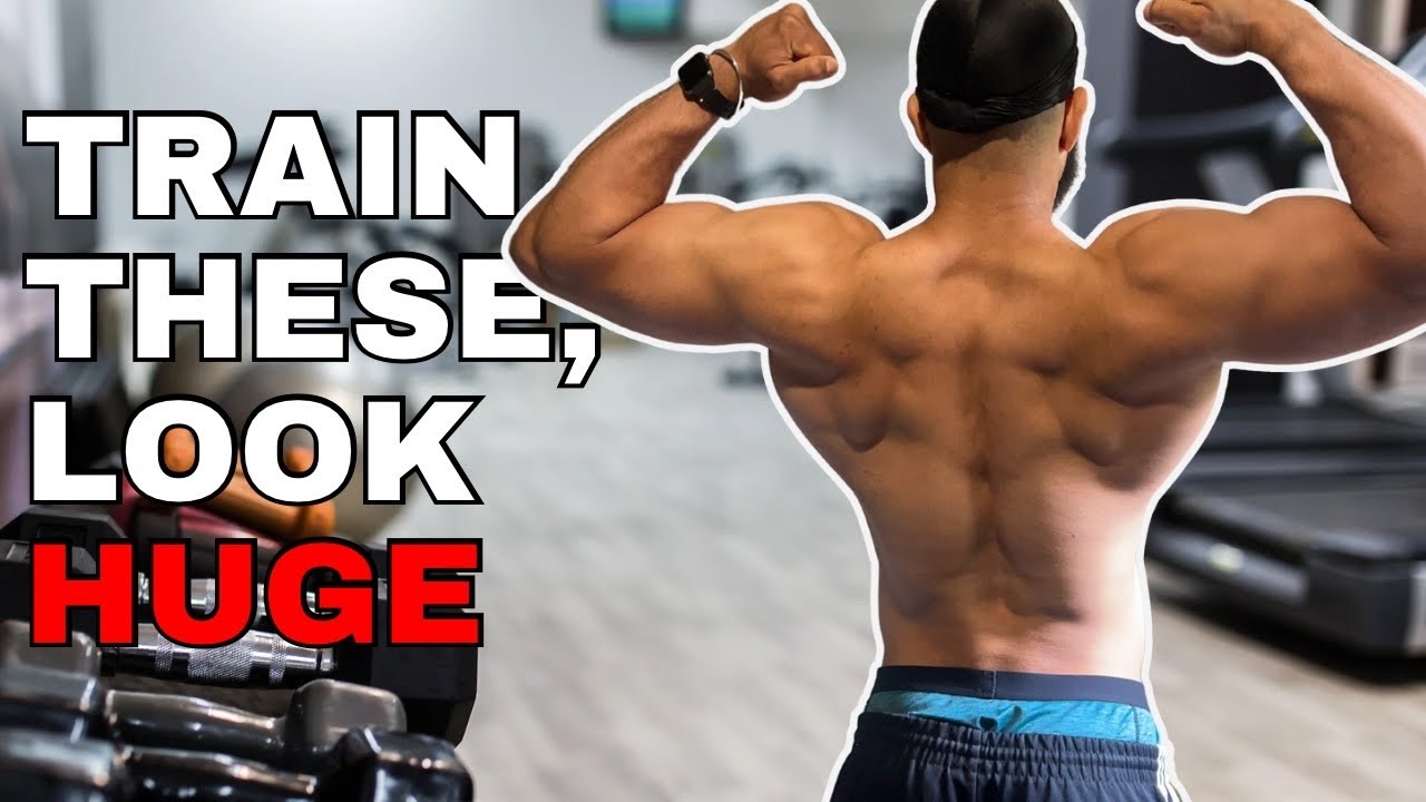The Real Muscles You Need to Look Jacked (Even If You’re Lightweight ...