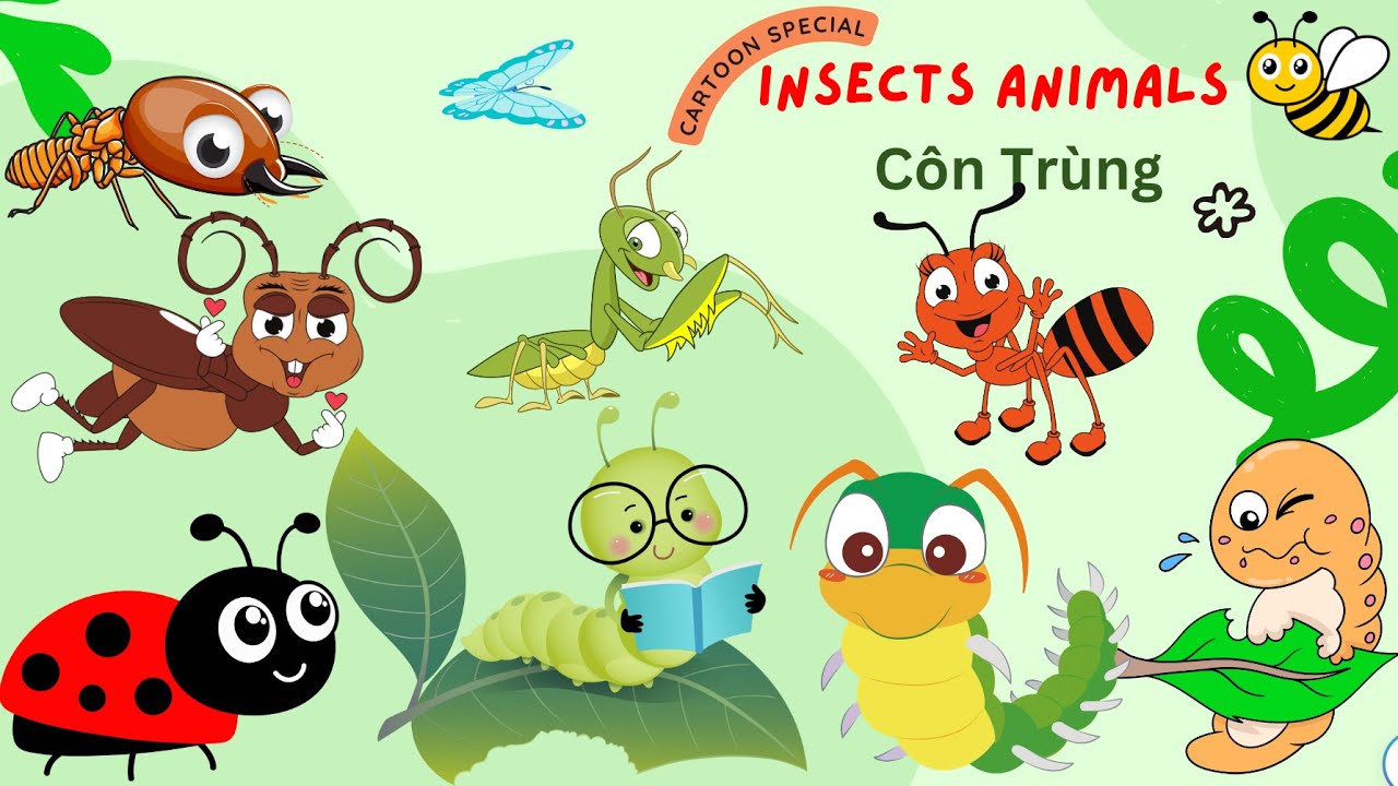 Côn Trùng | Insects Animals | Bé học tên gọi các loài côn trùng # ...