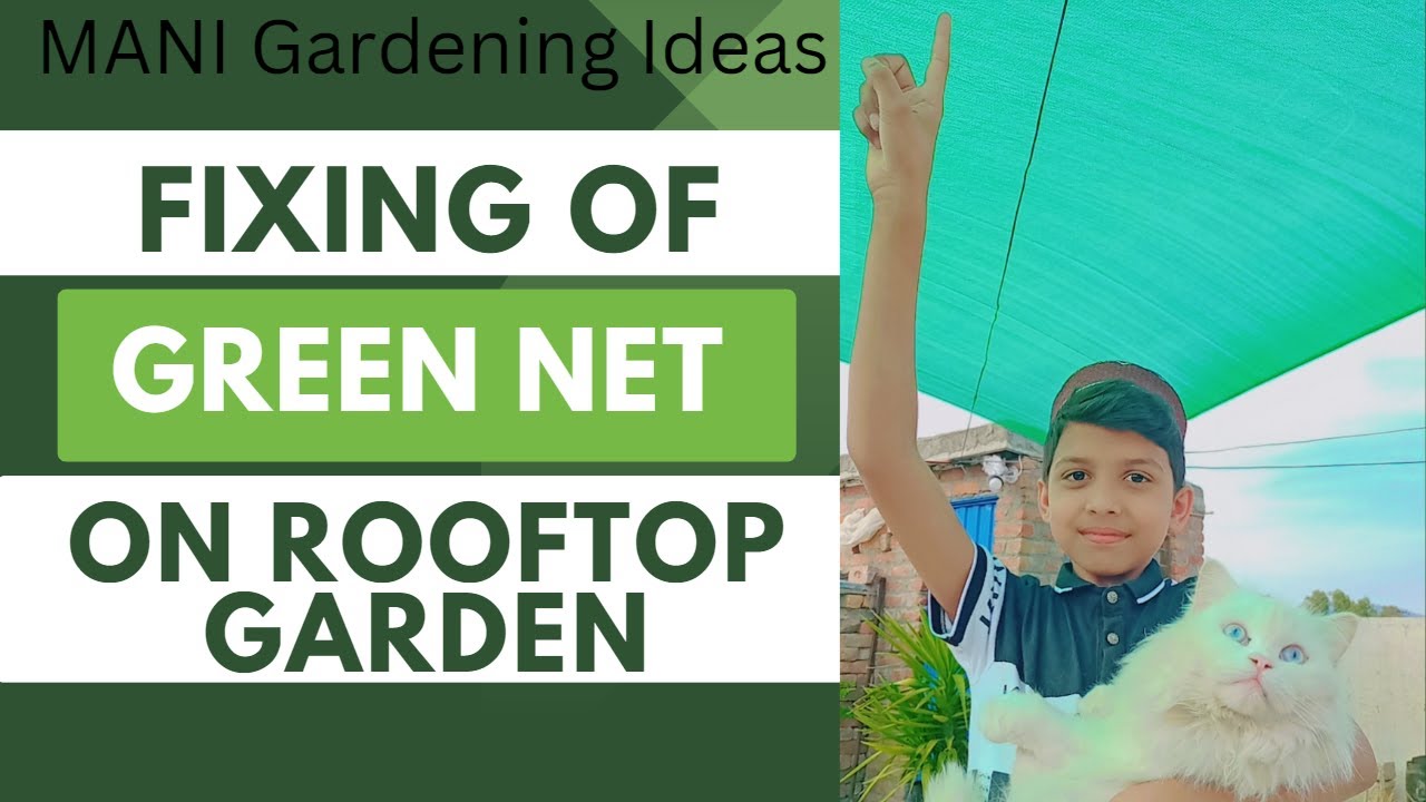 Fixing of green net on Rooftop garden. #kitchengardening - YouTube