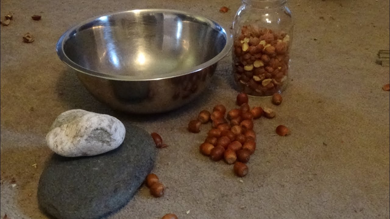 Acorn Processing, part one (Blooper Alert) - YouTube