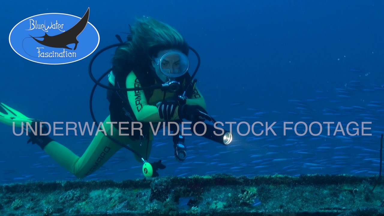 0633_Female scuba diver with wreck and fish shoals, HD underwater video ...
