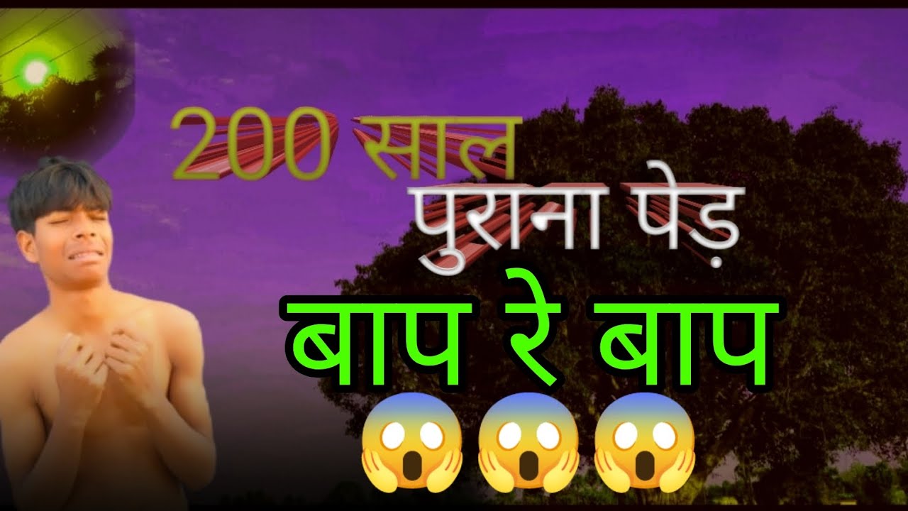 200 SAL PURANA PED BAP RE BAP||200साल पुराना पेड़😱 - YouTube