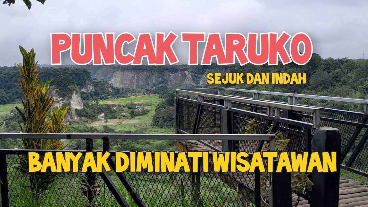 KEINDAHAN ALAM PUNCAK TARUKO BANYAK DIMINATI WISATAWAN LOKAL DAN LUAR ...