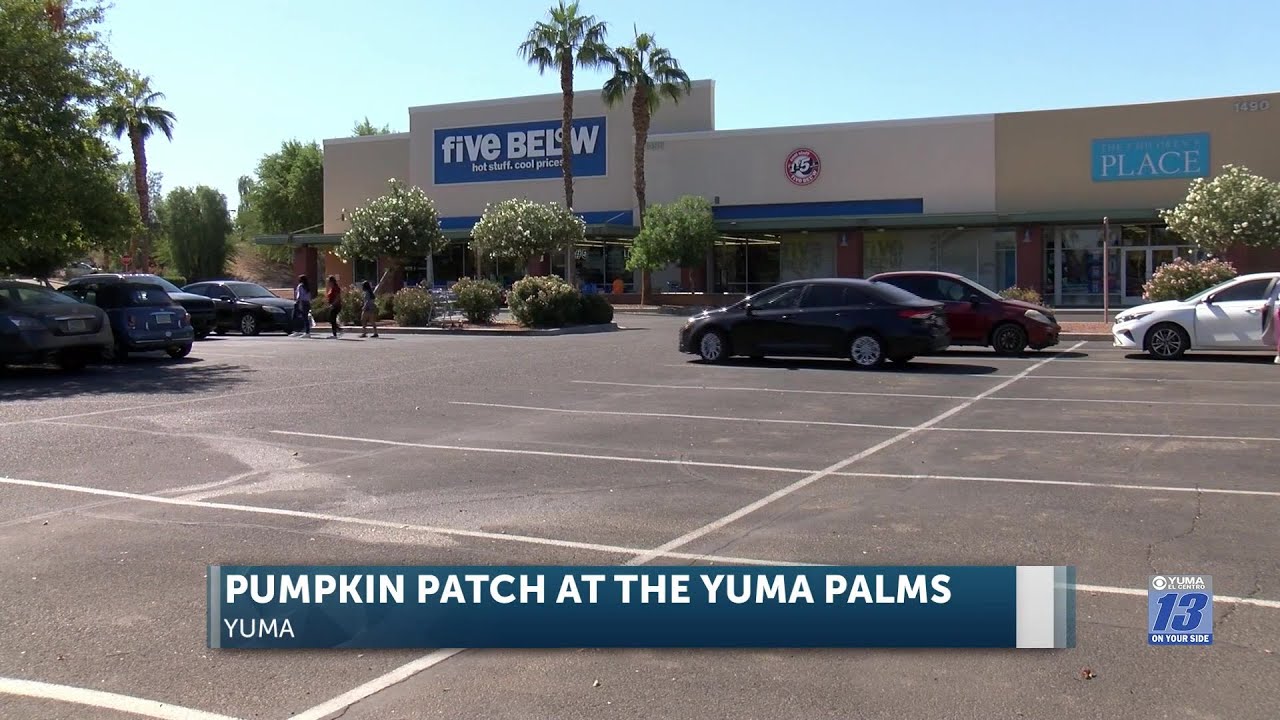 Pumpkin Patch at the Yuma Palms on Sunday - YouTube