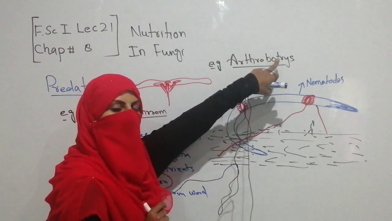 1ST YEAR | BIO | LEC 21 | SAMREEN FATIMA - YouTube