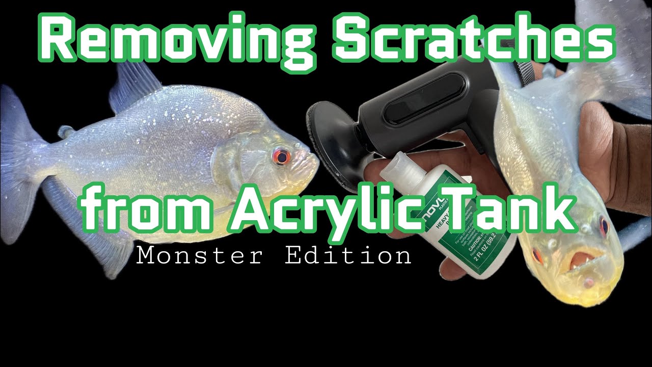 🐠🌊REMOVING ACRYLIC SCRATCHES - YouTube