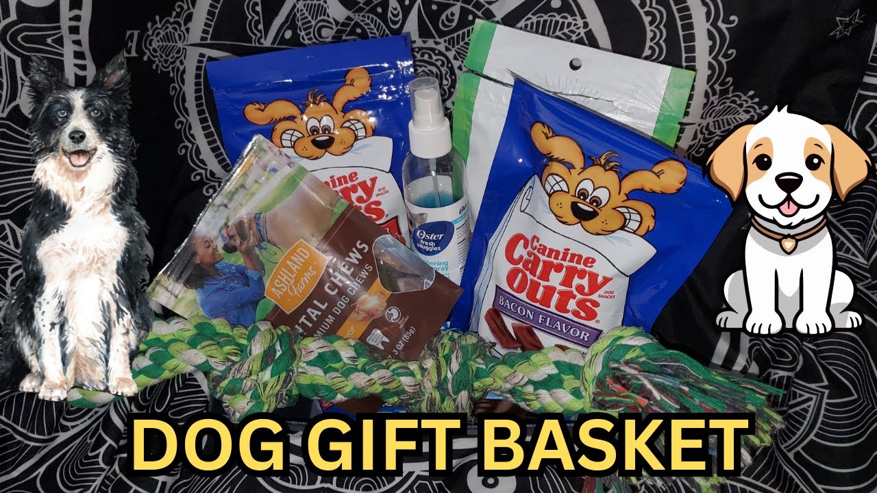 DIY Cute Dog Gift Basket | Birthday Christmas Gift for Dog - YouTube
