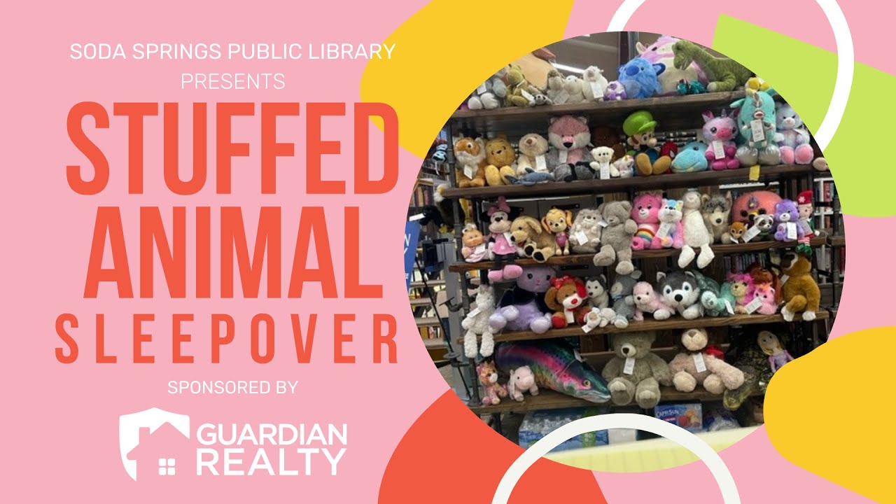 Stuffed Animal Sleepover | Soda Springs Public Library - YouTube