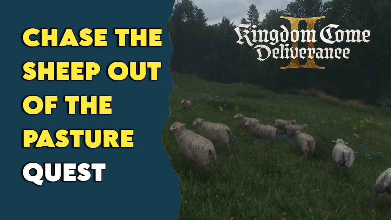 Chase the sheep out of the pasture Kingdom Come Deliverance 2 - YouTube