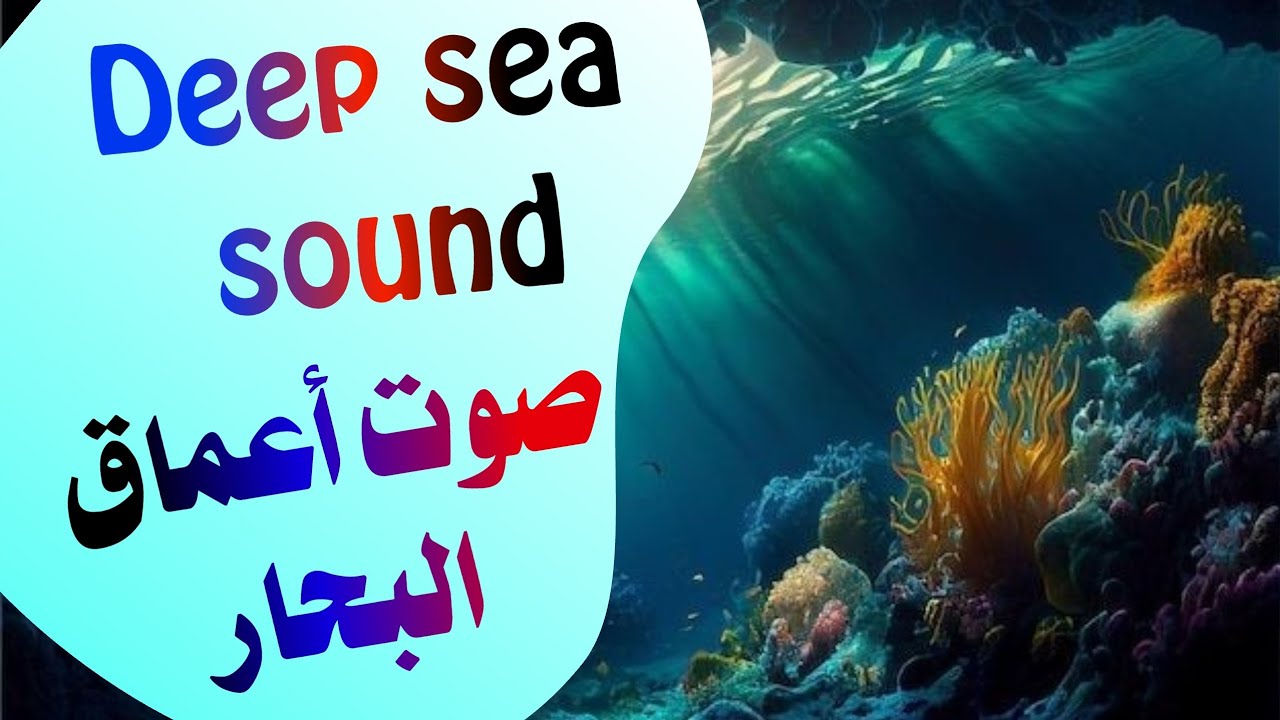 10 minutes The sound of the deep sea And fish || 10 صوت أعماق البحر ...