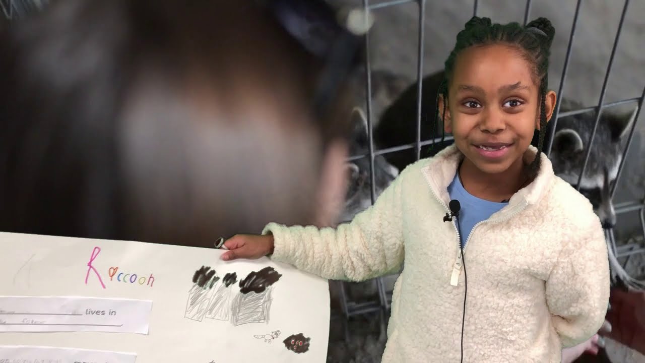 First Grade Woodland Animal Projects - YouTube