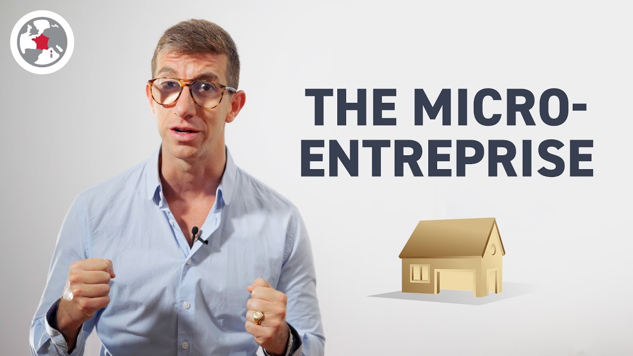 The French Micro-Entreprise Explained : Pros, Cons, and Thresholds ...