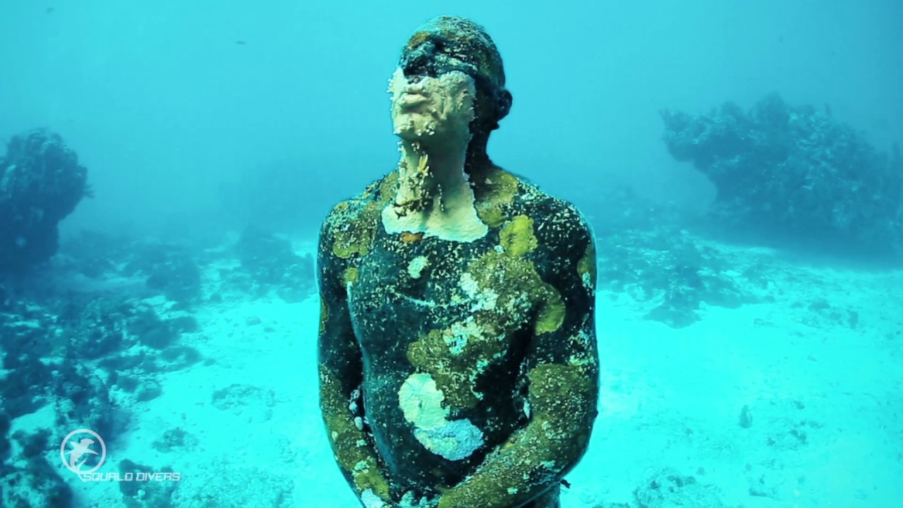 Disfrutar del buceo en cancun - YouTube