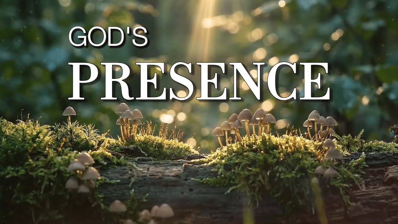 Soaking Piano Worship – Rest in God’s Presence (Quiet Time) | 1 Hour - YouTube