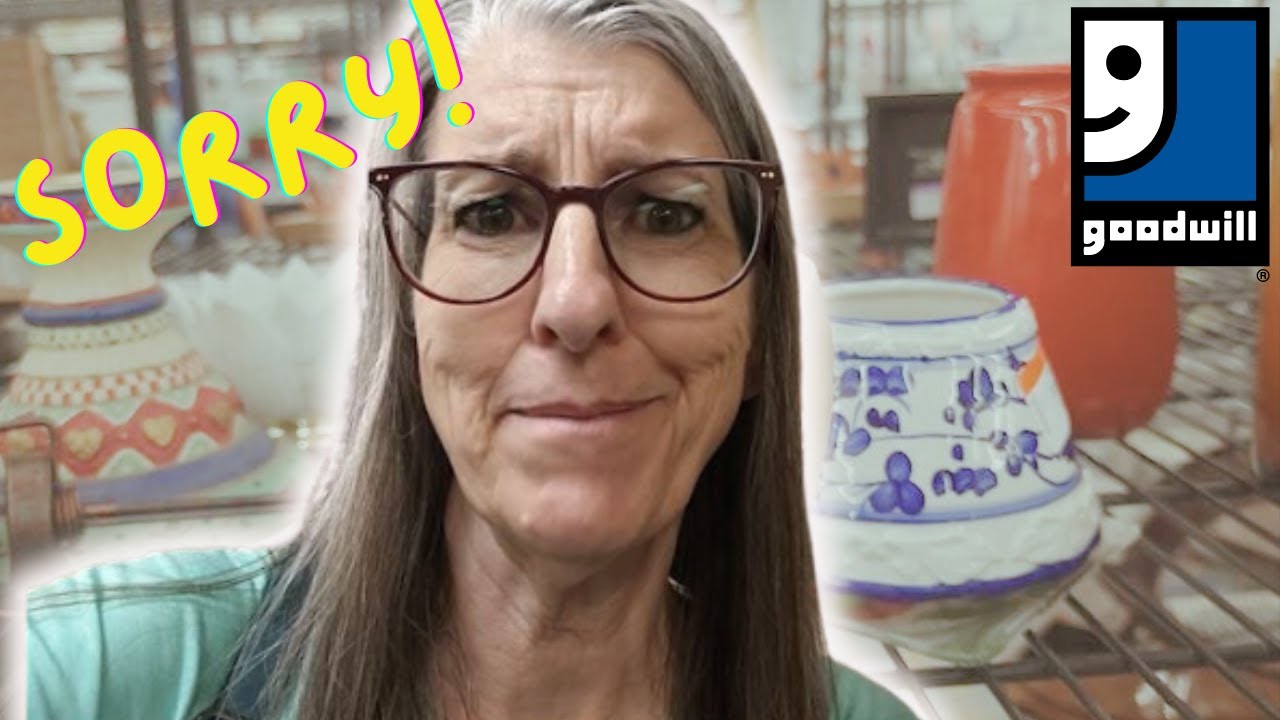 THIS IS GOING TO UPSET PEOPLE Goodwill Thrift With Me - YouTube