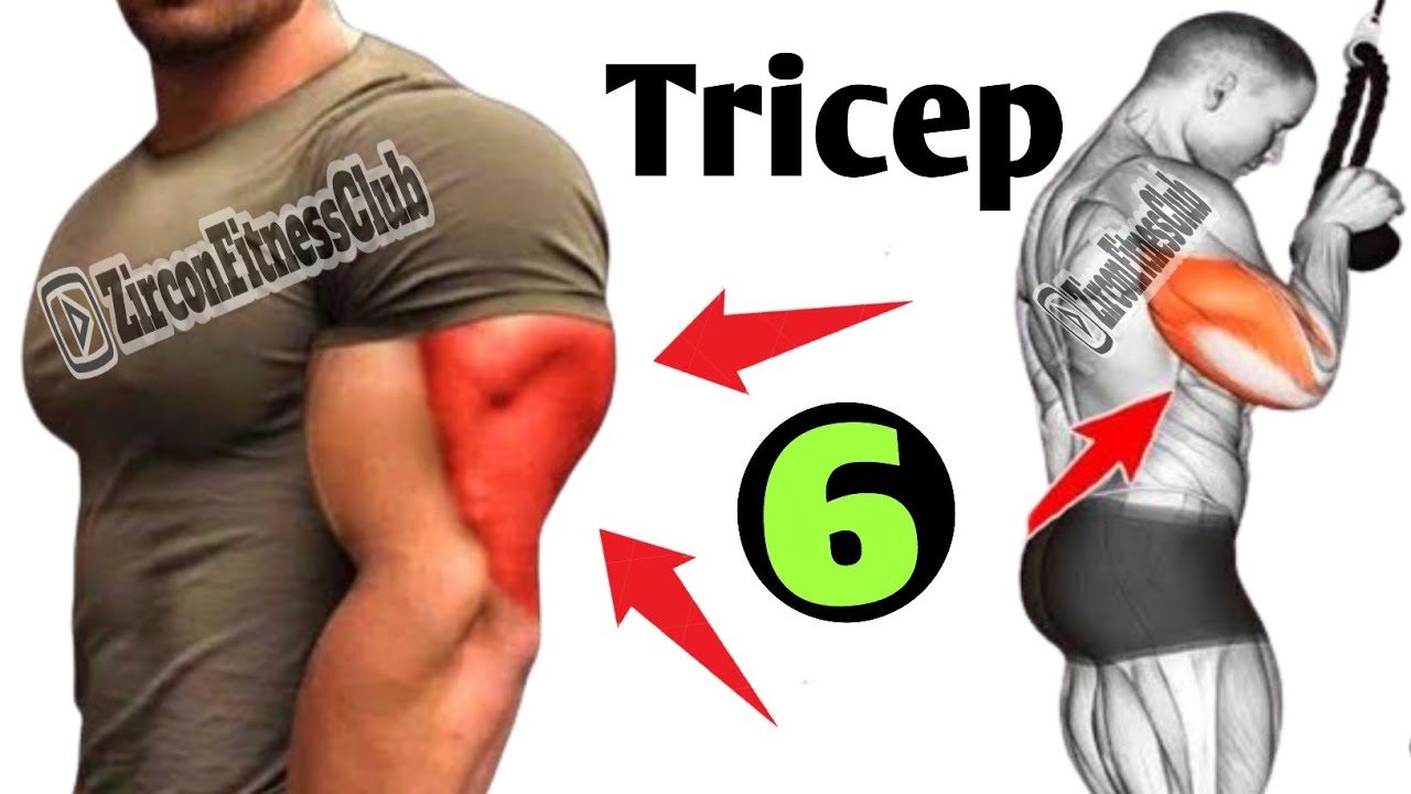 6 Best Exercises To Get Big Triceps Workout - Zircon Fitness - YouTube