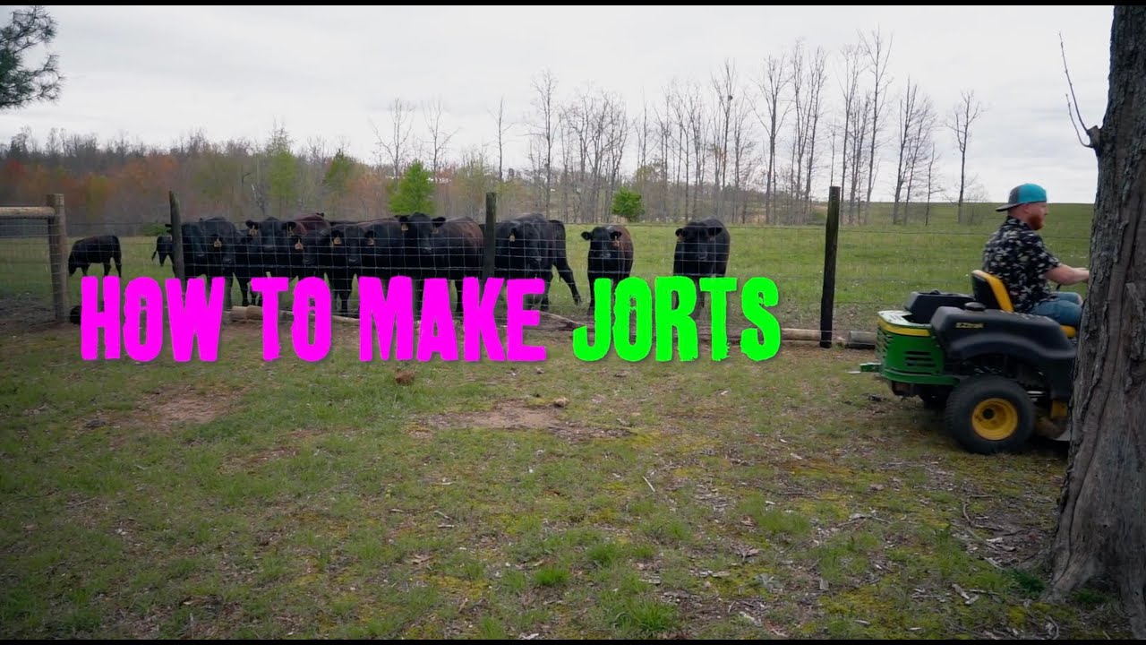 How to Make Jorts - YouTube