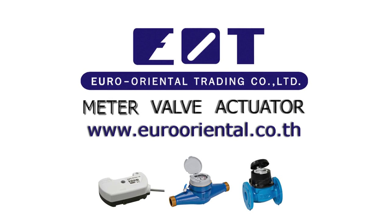 มิเตอร์น้ำ Itron รุ่น Multimag TM II - YouTube