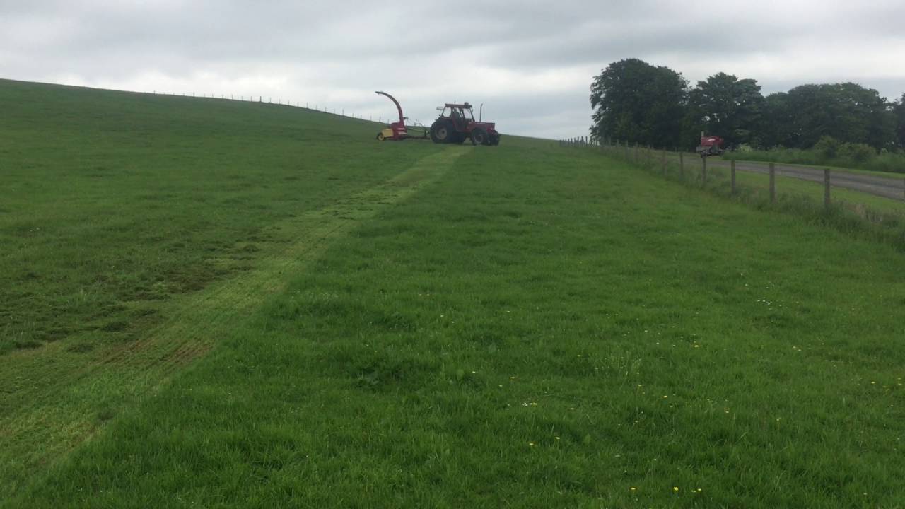 New Holland 339 Double Chop Forage Harvester - YouTube
