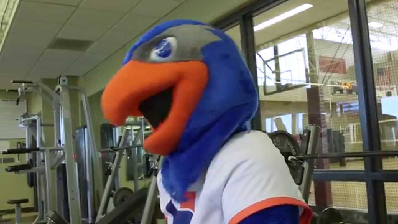 Who is Rusty the RedTail? - YouTube