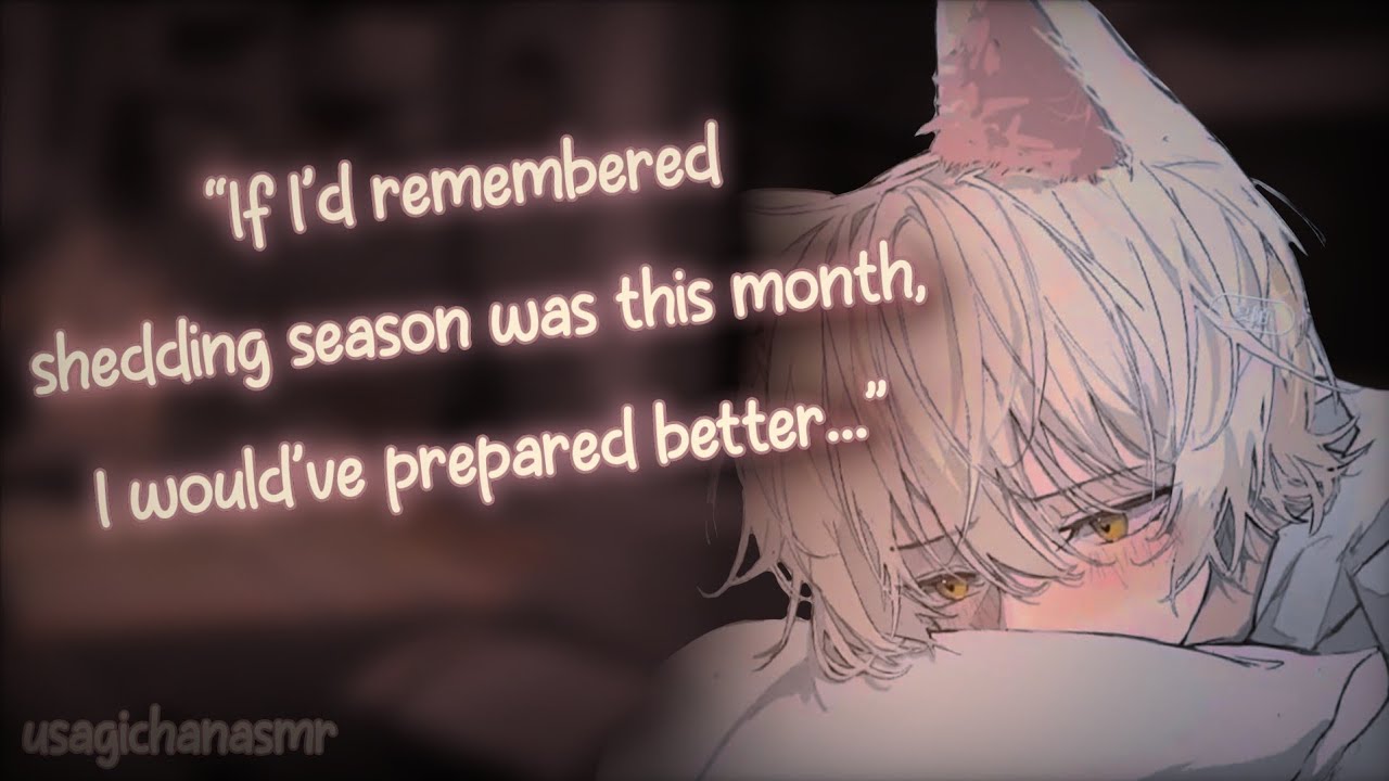 「ASMR」its shedding season for ur catboy roommate ♡ [m4a, sleep aid ...