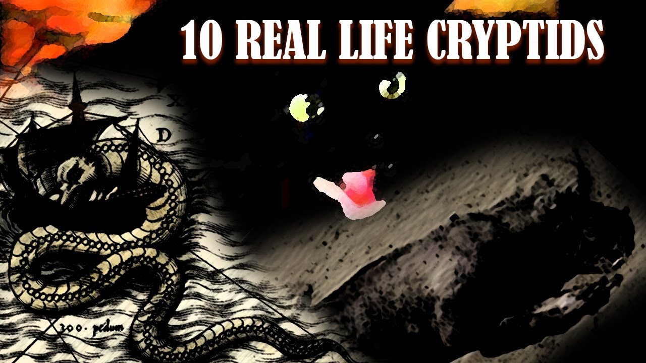 10 Cryptids That Really Exist - YouTube