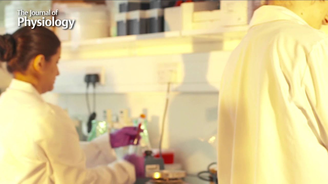 Journal of Physiology Consulting Editors: Frances Ashcroft - YouTube