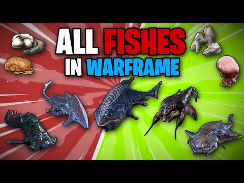 All Fishes In Warframe