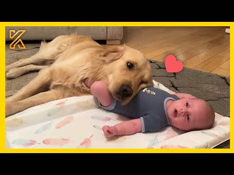 💕 FULL When Animals Showing Love to Human by Their Cute Way | BEST MOMENTS 2024!