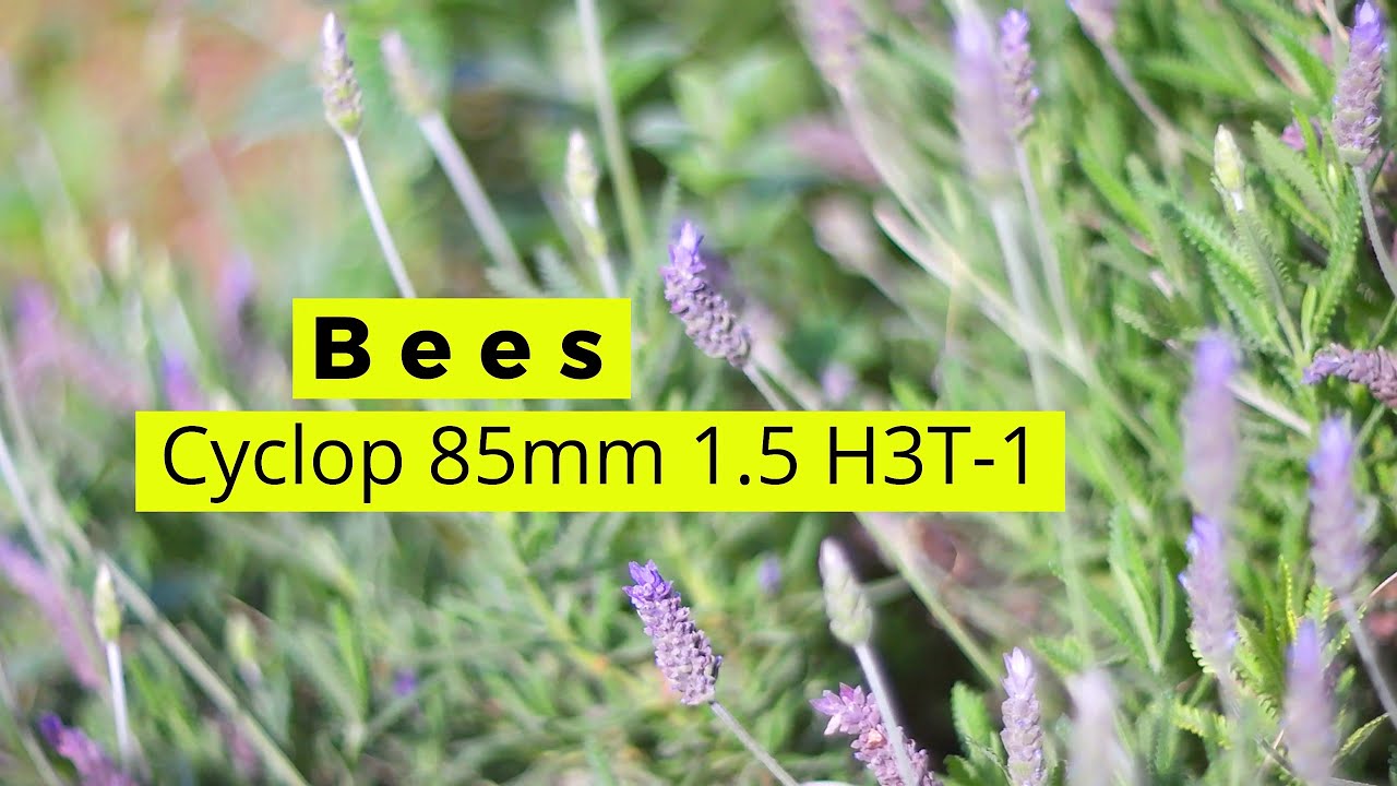 BEES Cyclop 85mm 1.5 H3T-1 ( Циклоп ) - YouTube