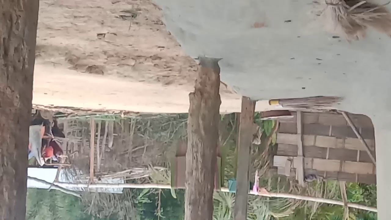 New Boih sui ni dance 2019 - YouTube