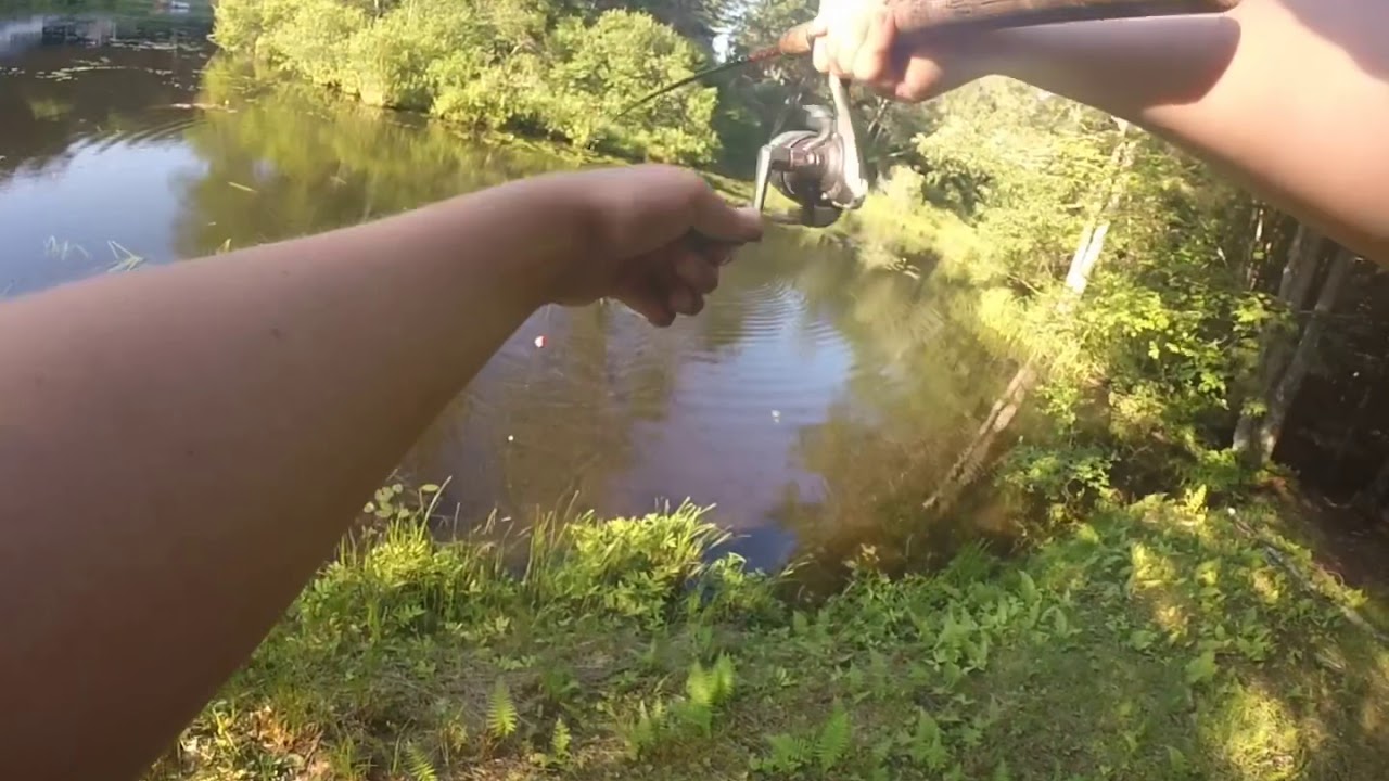 Risking my life for a failed fishing spot.... - YouTube