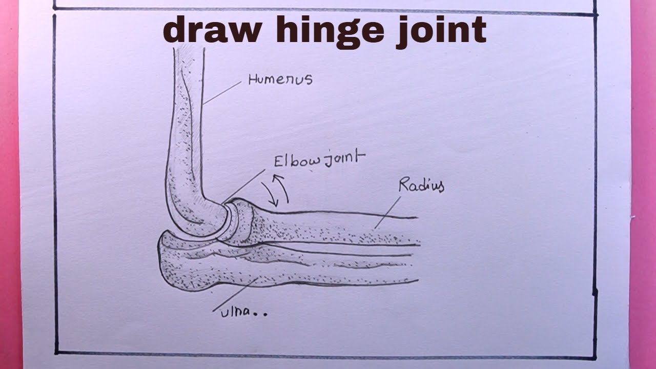 How To Draw Hinge Joint Step By Step - YouTube
