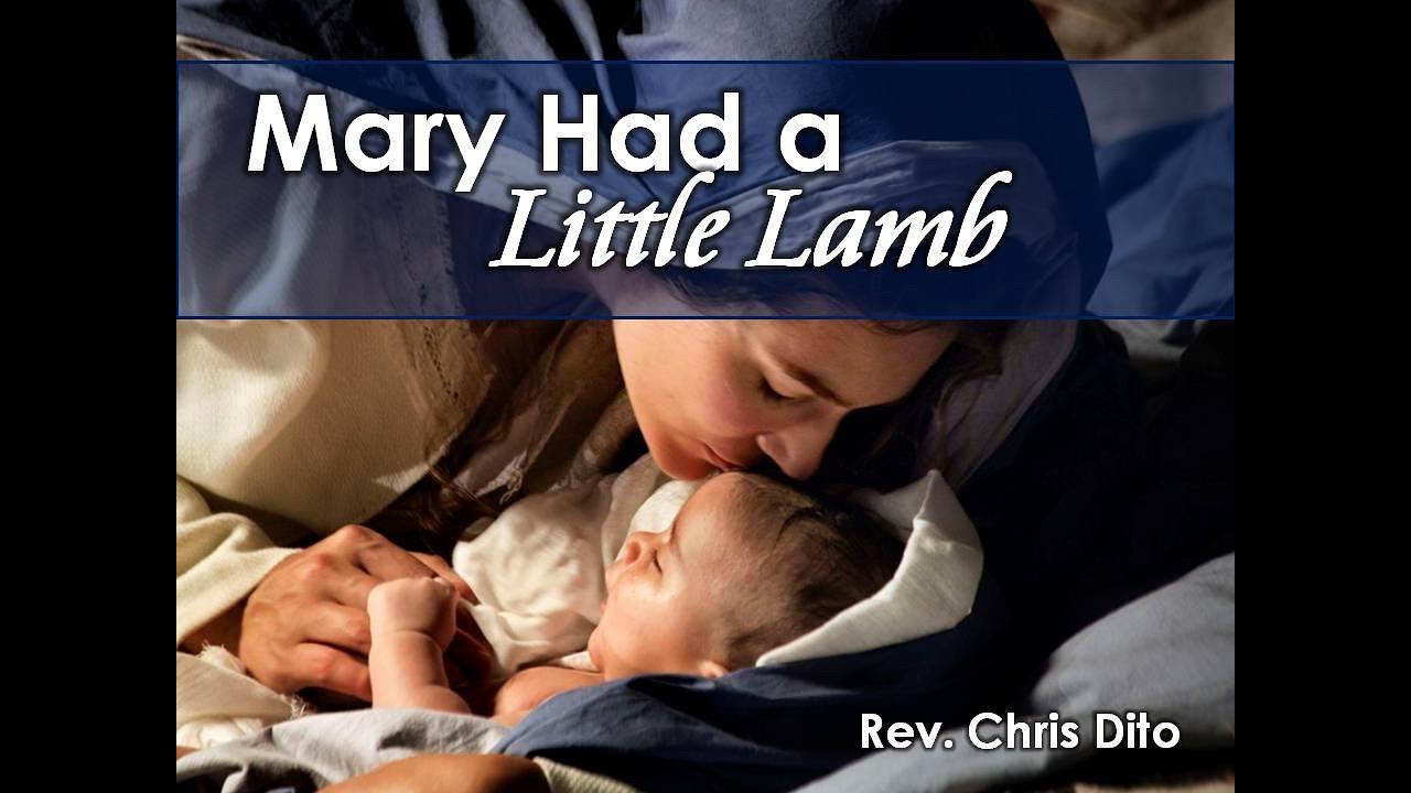 Terrific Is Mary Had A Little Lamb About Jesus Gallery